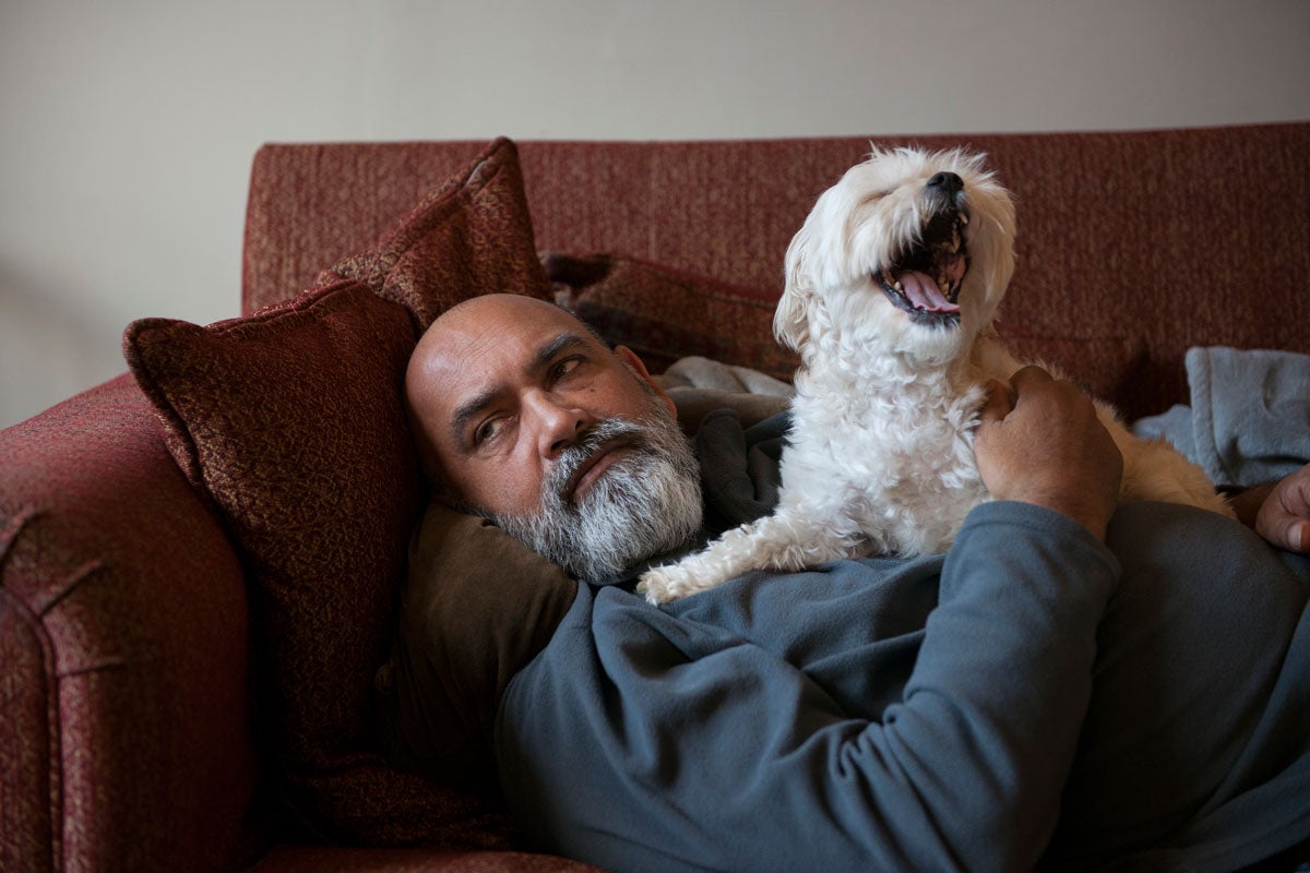 What is norepinephrine? | Optum Perks