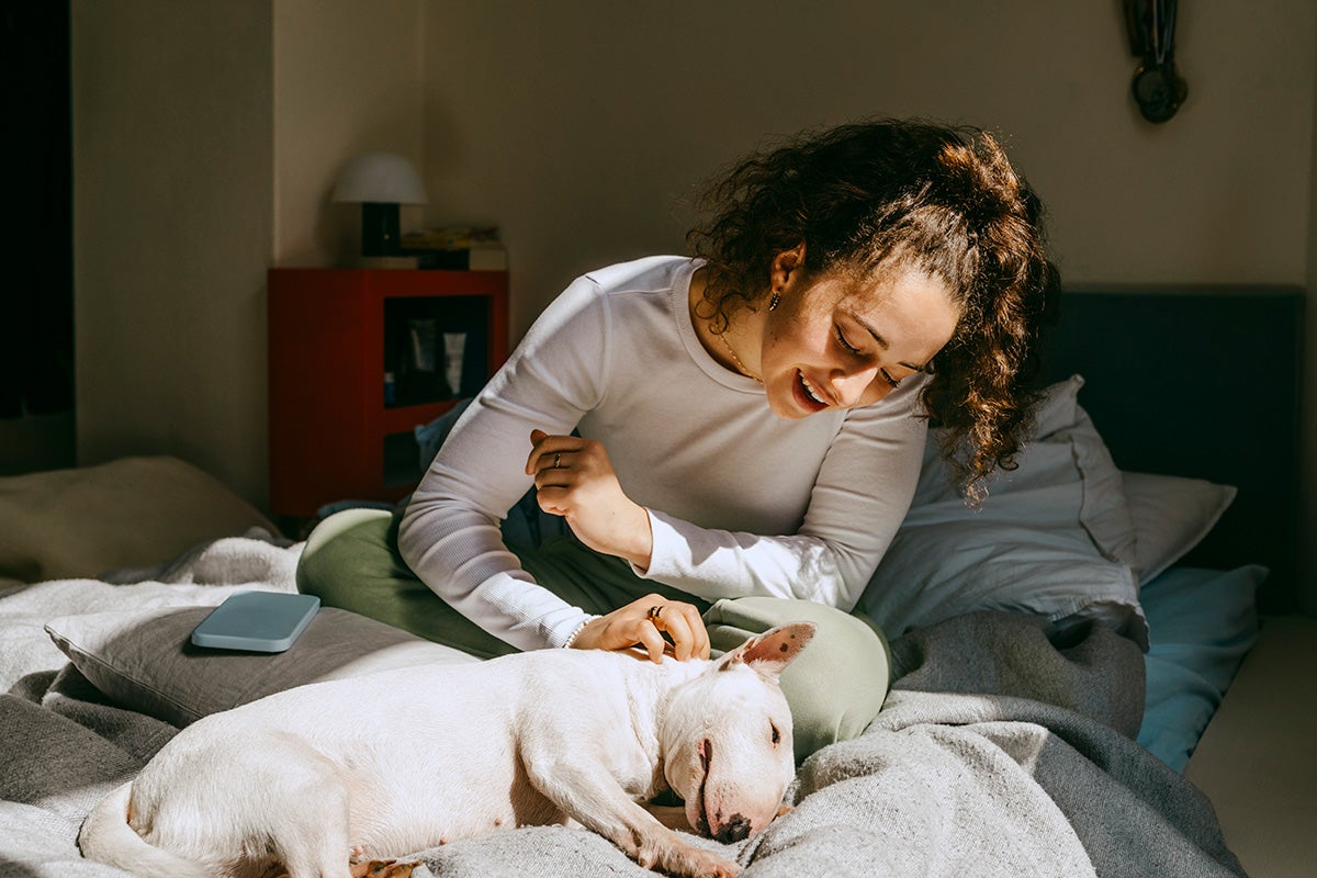 What to know about trazodone for dogs | Optum Perks